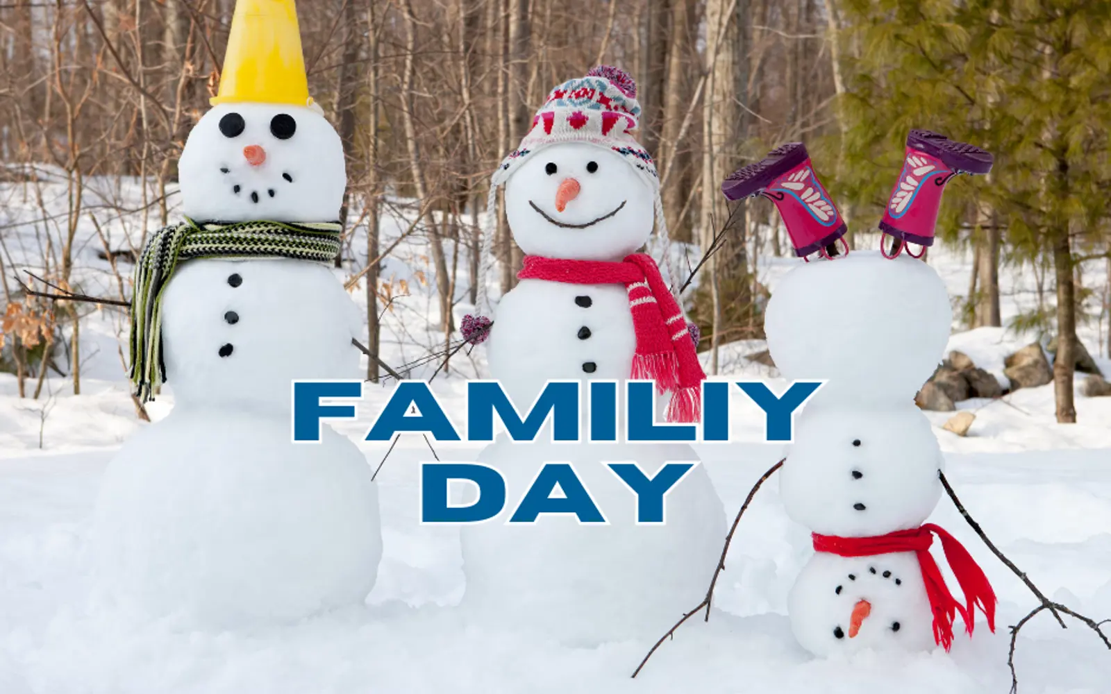 Recreation and Programming | Township of Bonfield